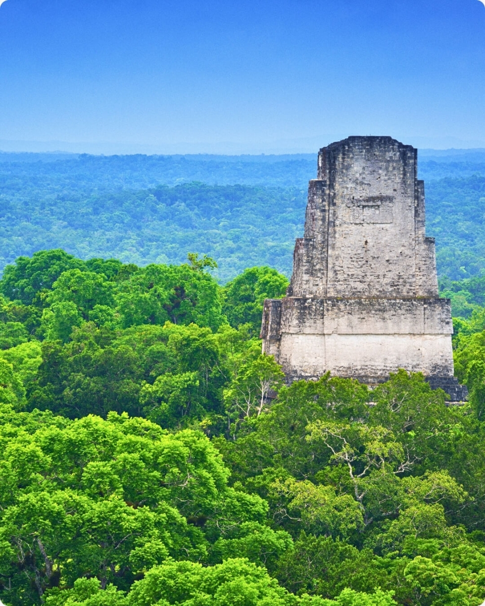 Records in Stone: Guatemala’s Jungle Maya Pyramids | PRIVATE GUIDE WORLD