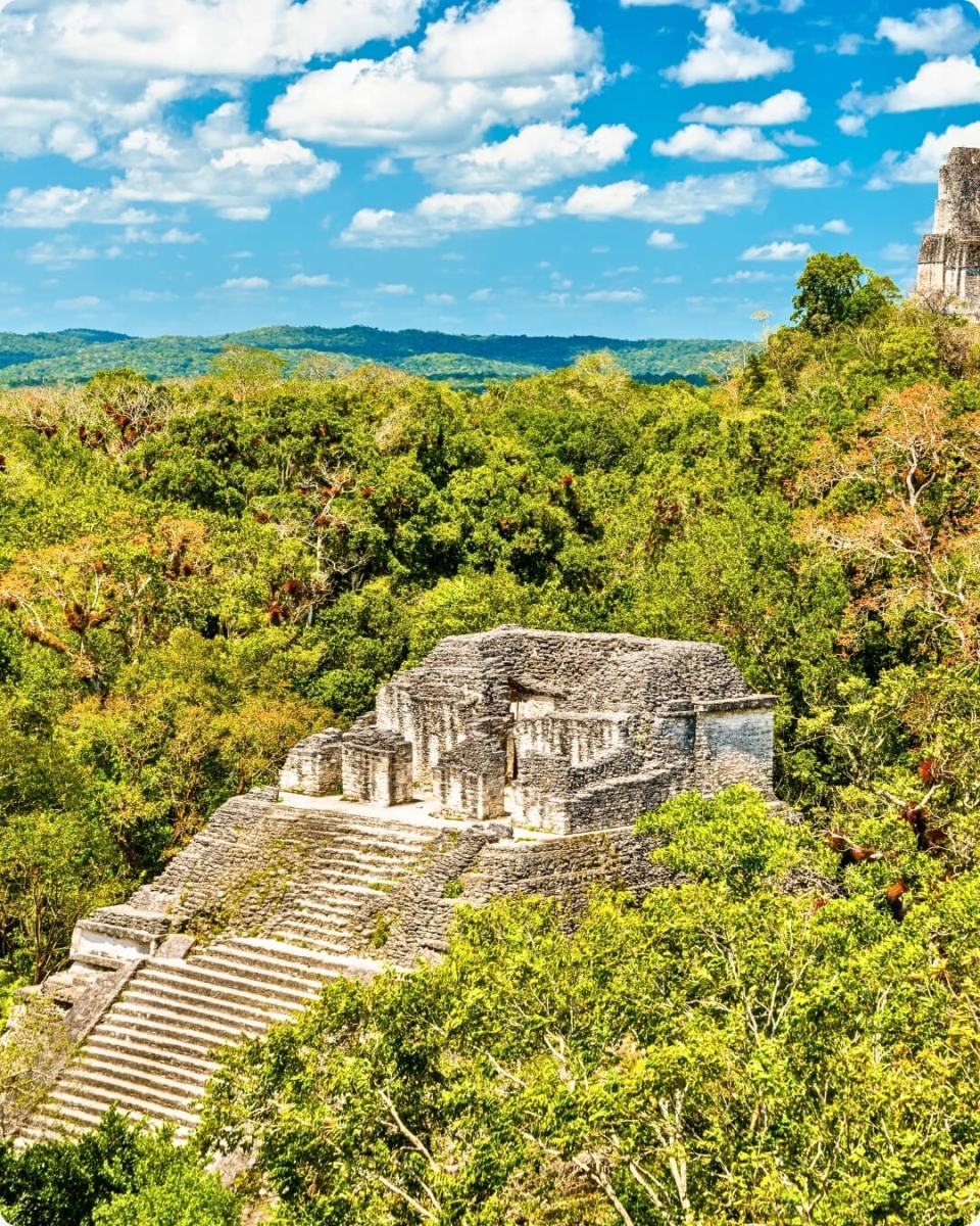Records in Stone: Guatemala’s Jungle Maya Pyramids | PRIVATE GUIDE WORLD