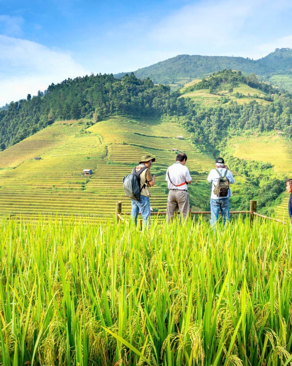 Tour Guide Earnings Worldwide (2025) | PRIVATE GUIDE WORLD